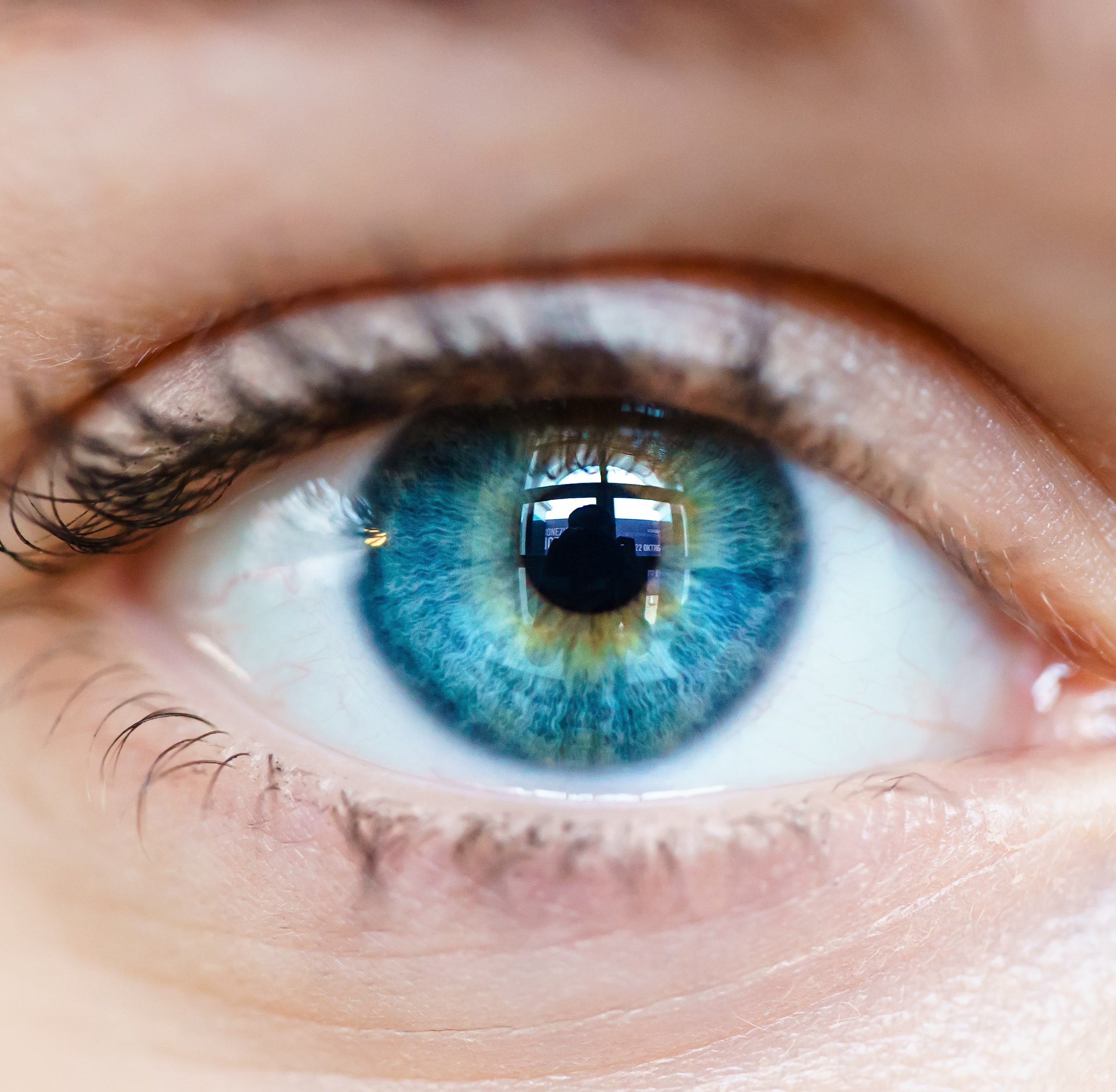 ABC Optyki | Aurum-Optics